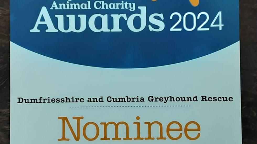 Animal Charity Of The Year 2024 Nomination – 20th January ...